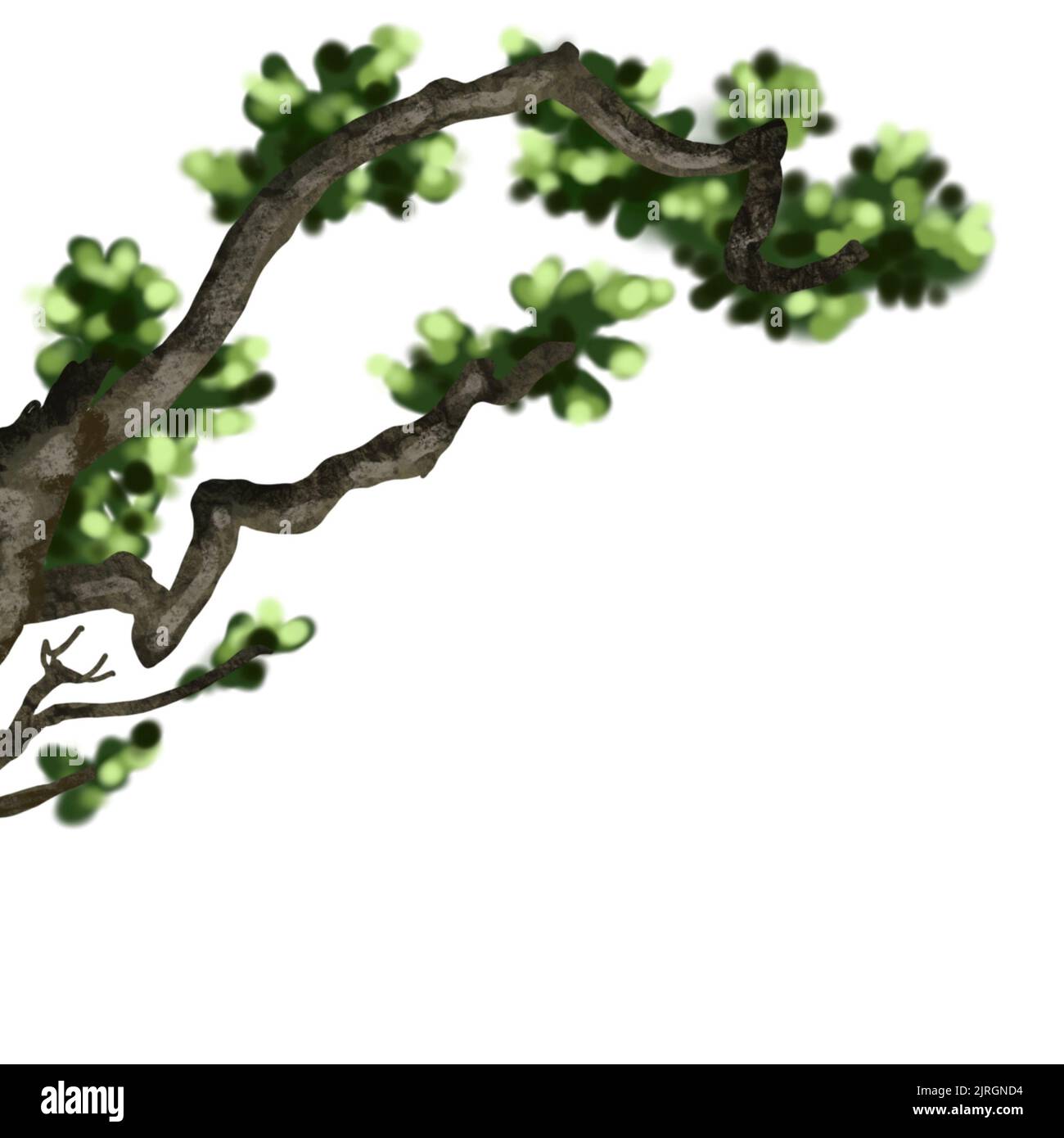 Watercolor tree branch. Illustration of a tree branch with green ...