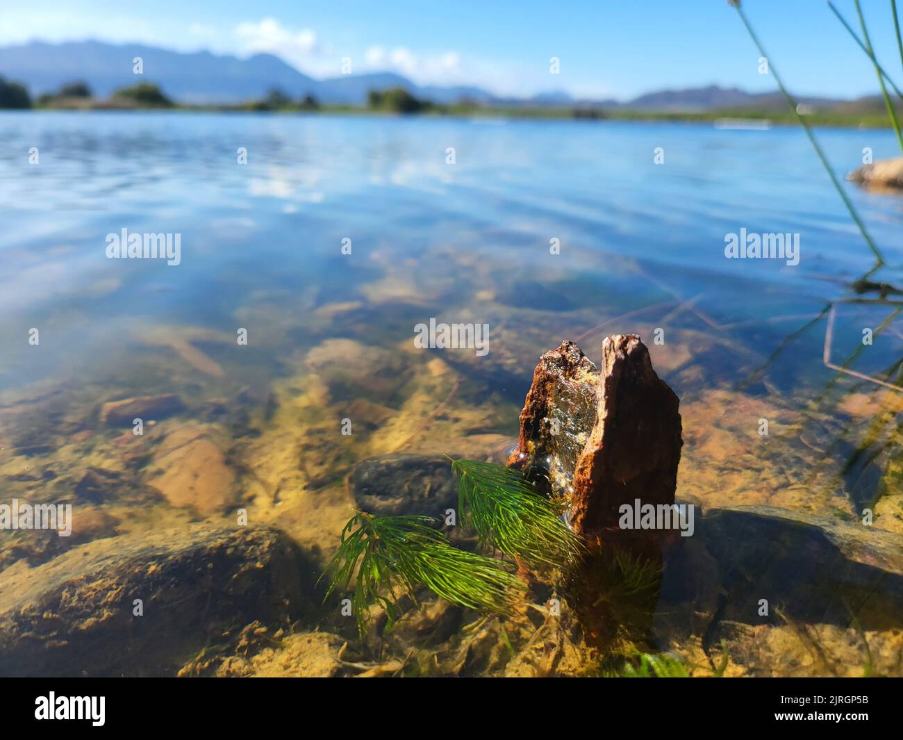 A sunny day on the beach with a cloudy blue sky Stock Photo - Alamy