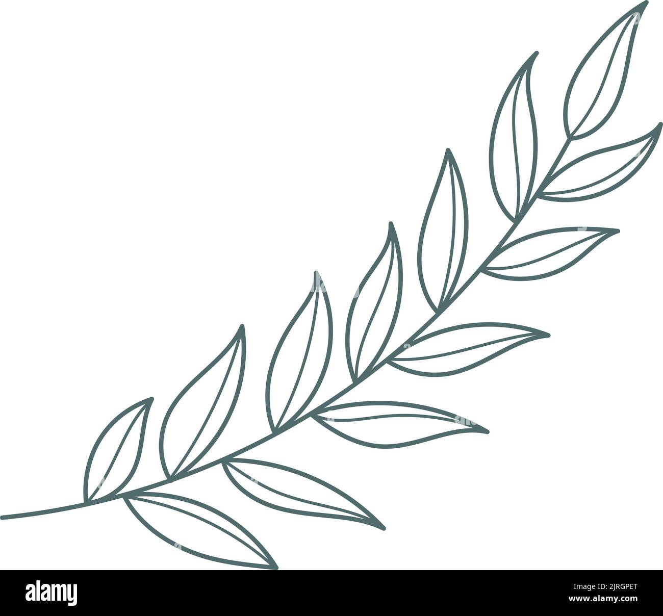 Hand drawn tree branch. Botanical line print Stock Vector Image & Art ...
