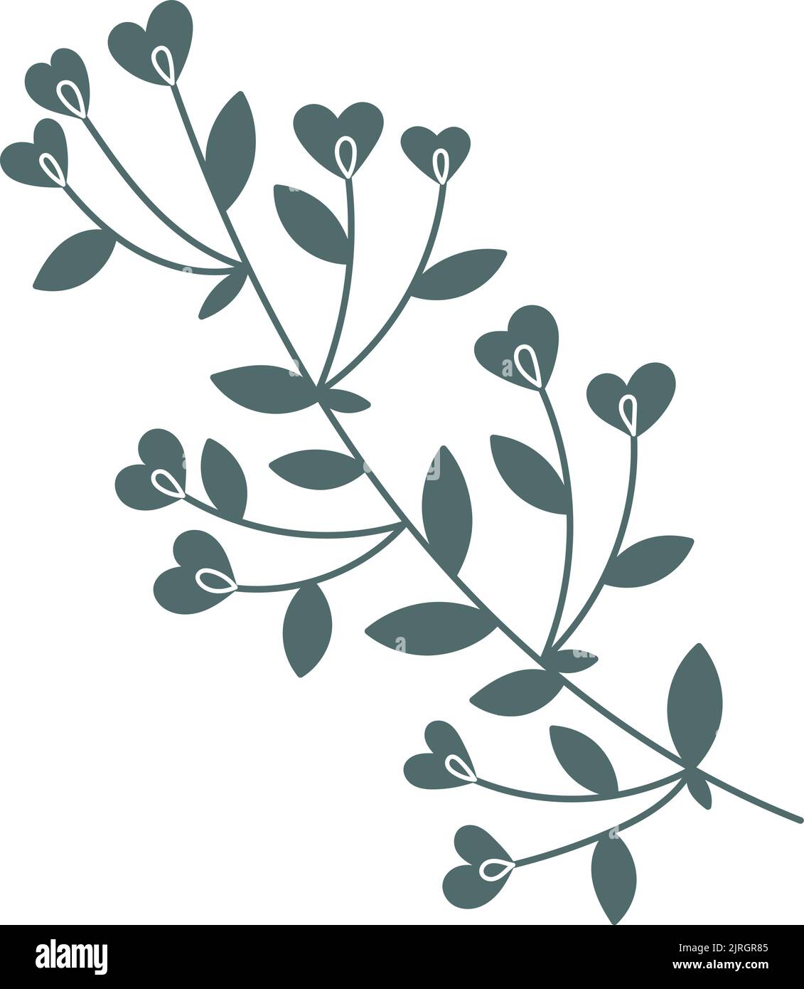 Decorative natural plant branch. Botanical print element Stock Vector ...