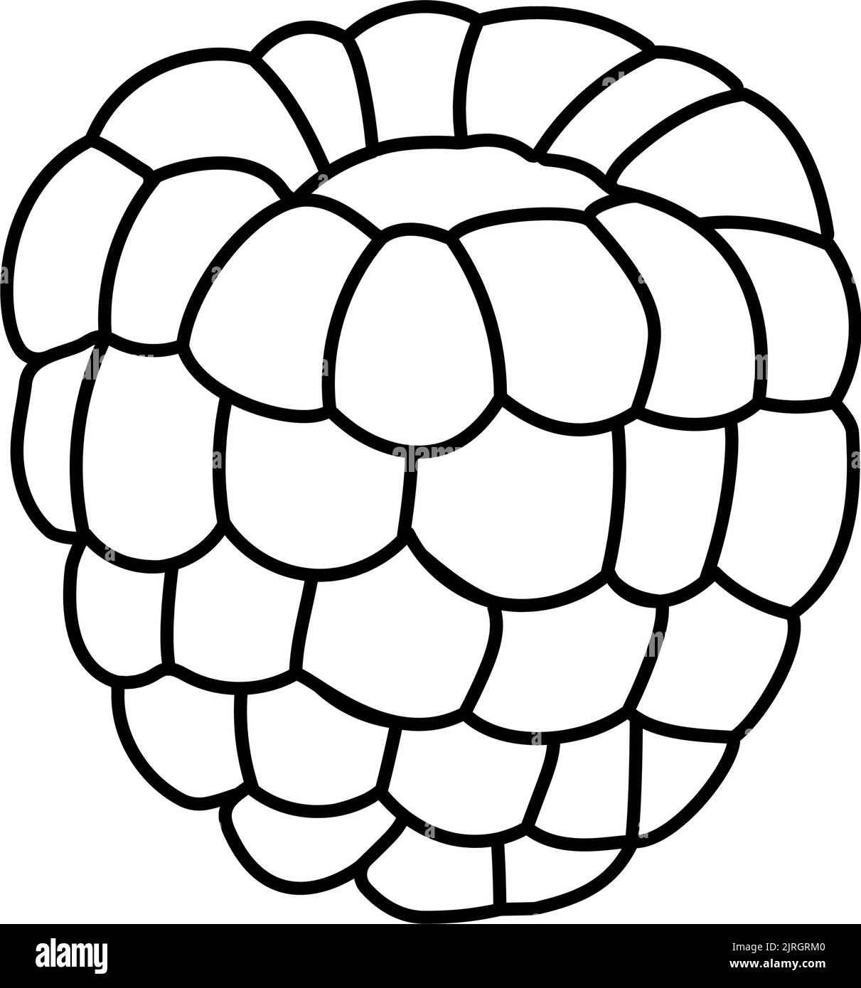 Raspberry bush harvest Black and White Stock Photos & Images - Alamy