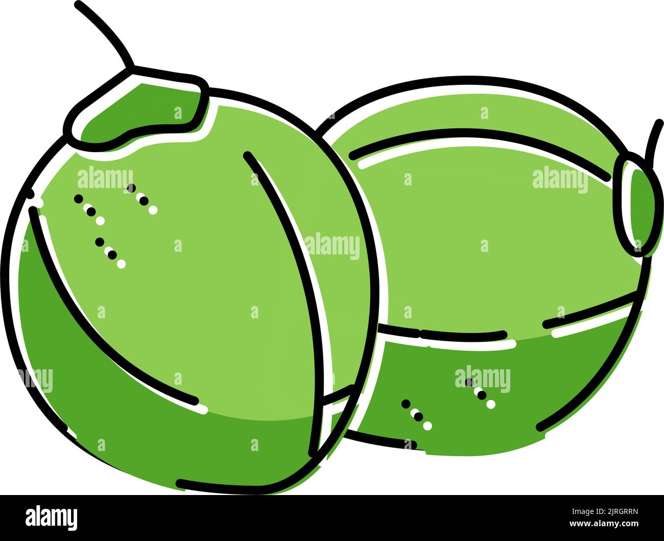 green coconut coco color icon vector illustration Stock Vector Image ...