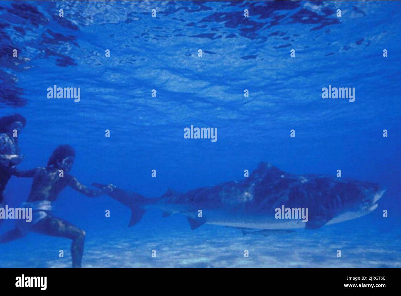 Maren Jensen Beyond The Reef