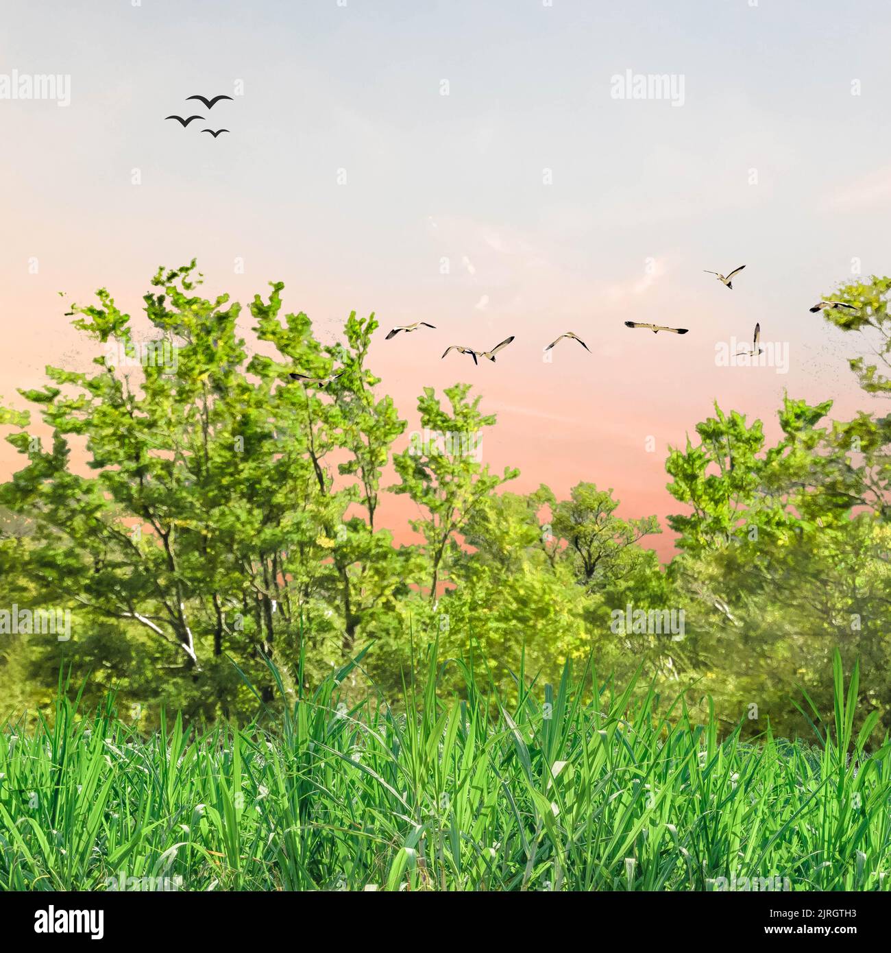 Village life background with trees and birds Stock Photo - Alamy Village life background with trees and birds Stock Photo - Alamy