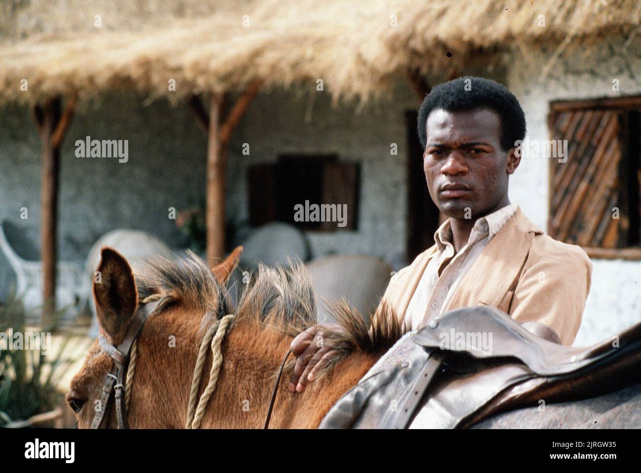 Holly Aird Flame Trees Of Thika