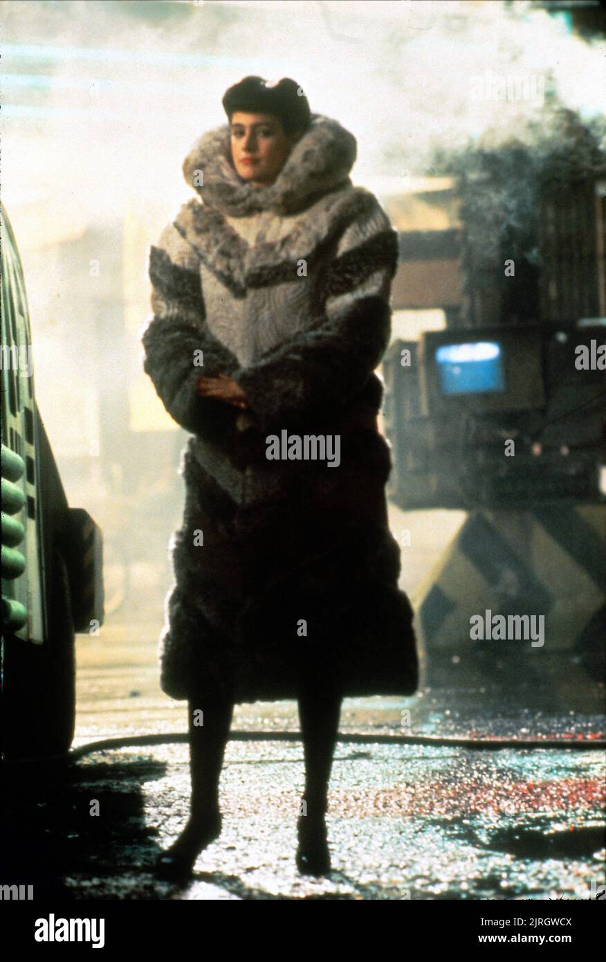SEAN YOUNG, BLADE RUNNER, 1982 Stock Photo - Alamy