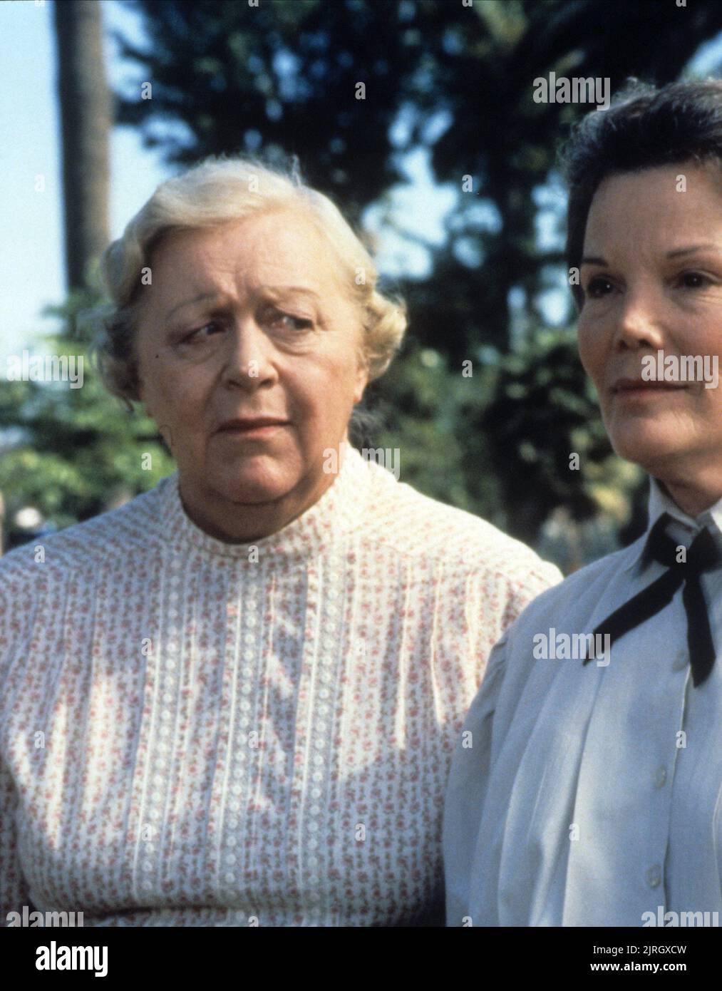 NANETTE FABRAY, AMY, 1981 Stock Photo - Alamy