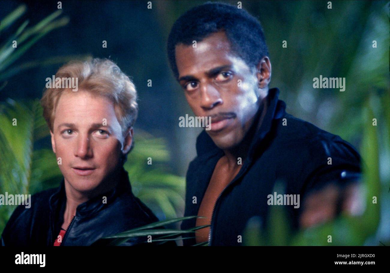 Amerikanischer Ninja 3