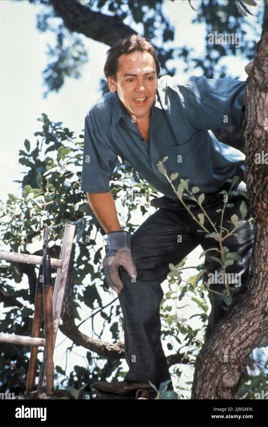 ROBERT LINDSAY, BERT RIGBY YOU'RE A FOOL, 1989 Stock Photo - Alamy