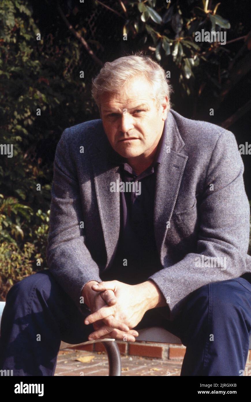 BRIAN DENNEHY, BEST SELLER, 1987 Stock Photo - Alamy