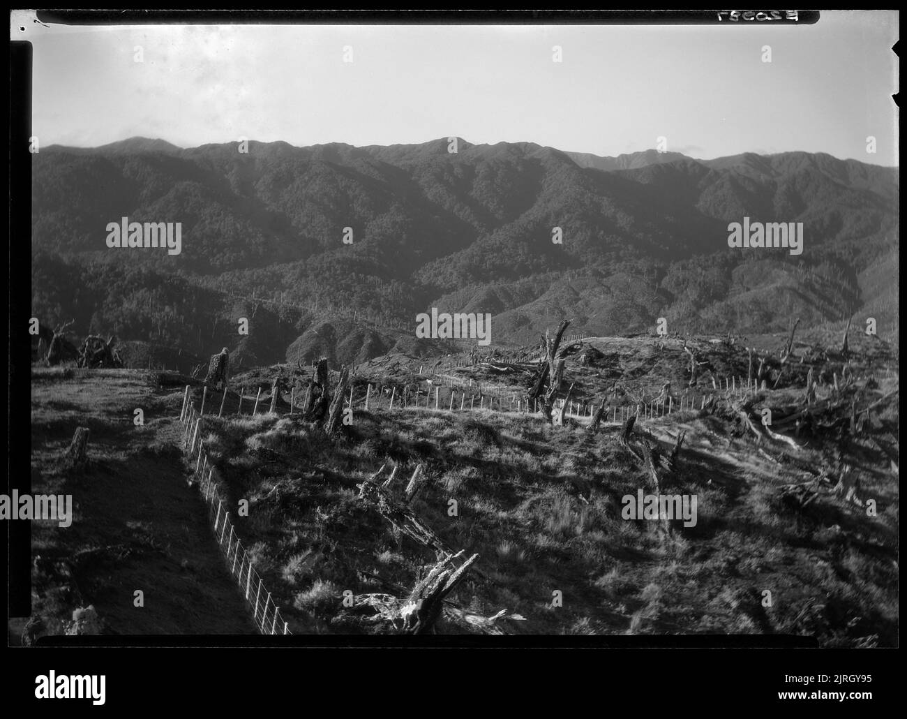 Tararuas ascent of mt wainui hi-res stock photography and images - Alamy
