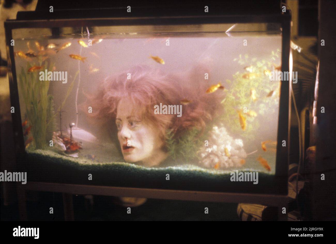 HEAD IN FISH TANK, HE KNOWS YOU'RE ALONE, 1980 Stock Photo - Alamy