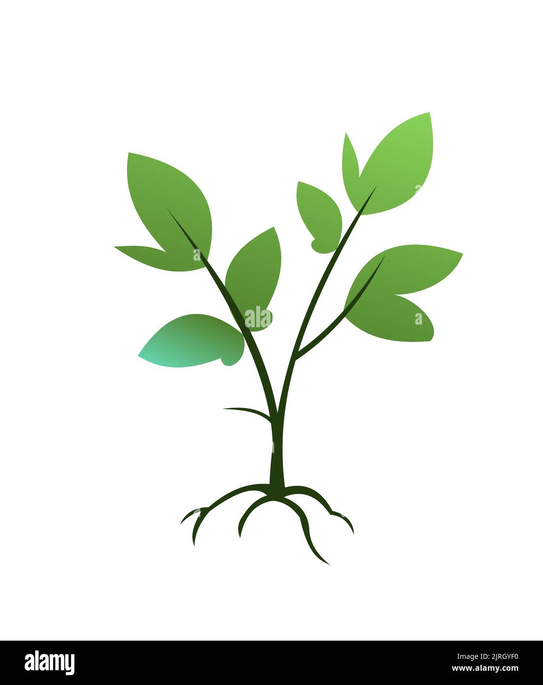 Seedling garden plants with roots. Sowing agricultural material ...