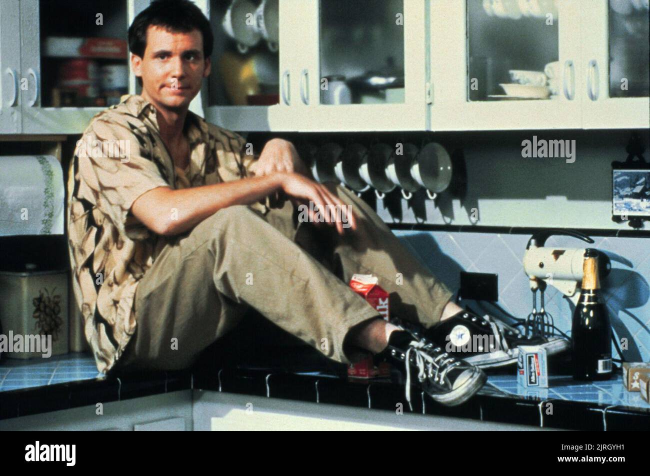 JONATHAN STARK, HOUSE II: THE SECOND STORY, 1987 Stock Photo - Alamy