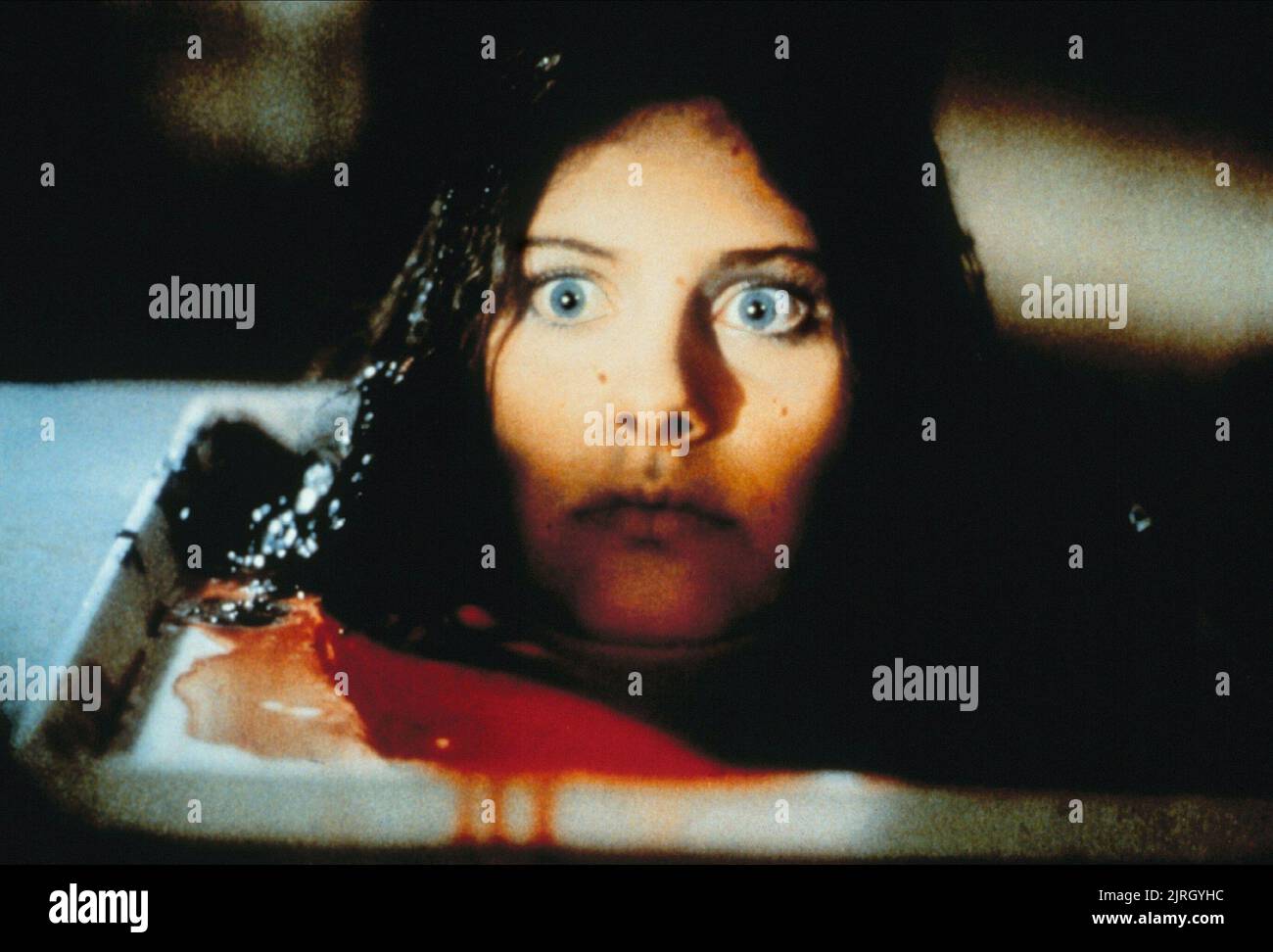 HORROR SCENE, HAPPY BIRTHDAY TO ME, 1981 Stock Photo - Alamy