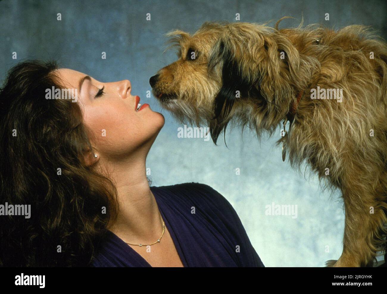 JANE SEYMOUR, DOG, OH HEAVENLY DOG, 1980 Stock Photo - Alamy