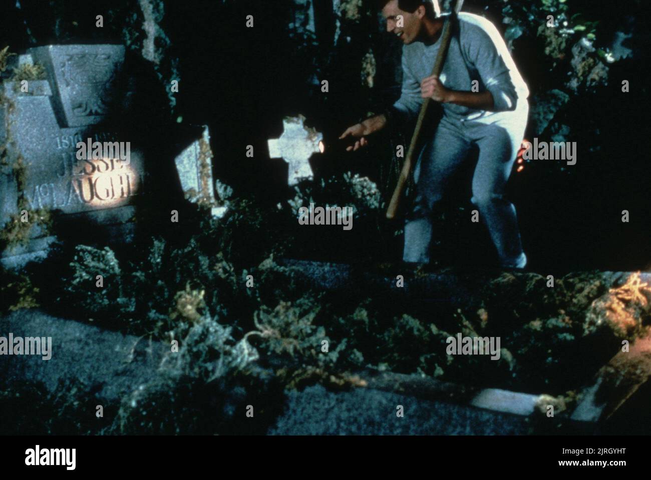 ARYE GROSS, HOUSE II: THE SECOND STORY, 1987 Stock Photo - Alamy