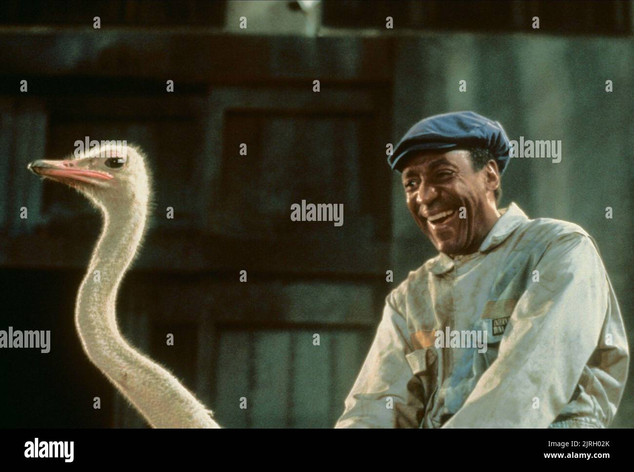 Leonard Part 6 Cast