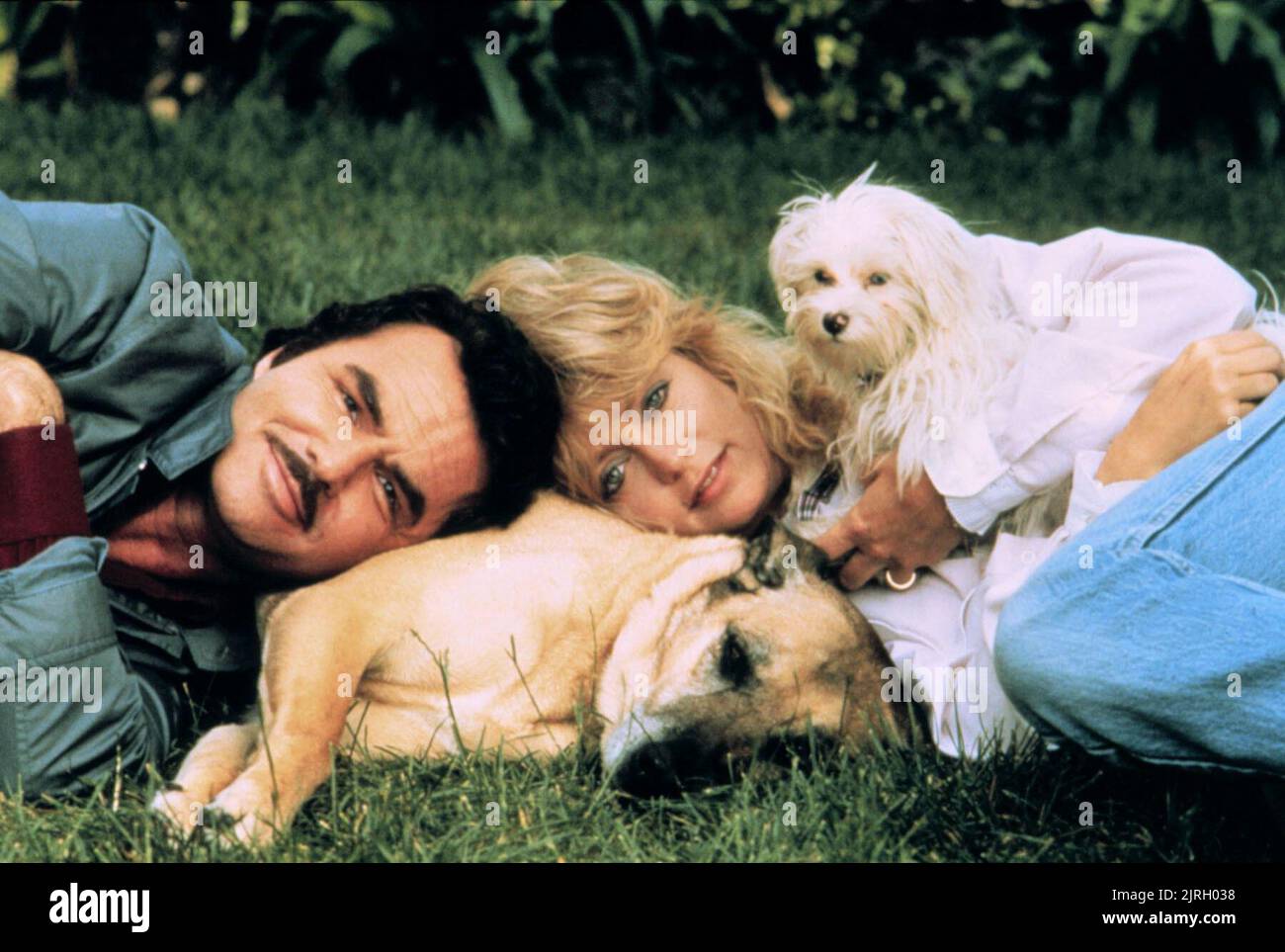 BURT REYNOLDS, GOLDIE HAWN, BEST FRIENDS, 1982 Stock Photo - Alamy