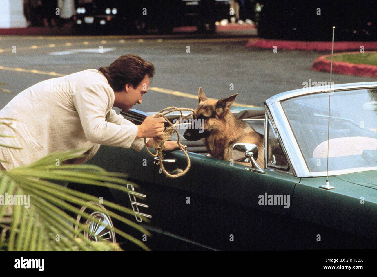 JAMES BELUSHI, THE DOG JERRY LEE, K-9, 1989 Stock Photo - Alamy