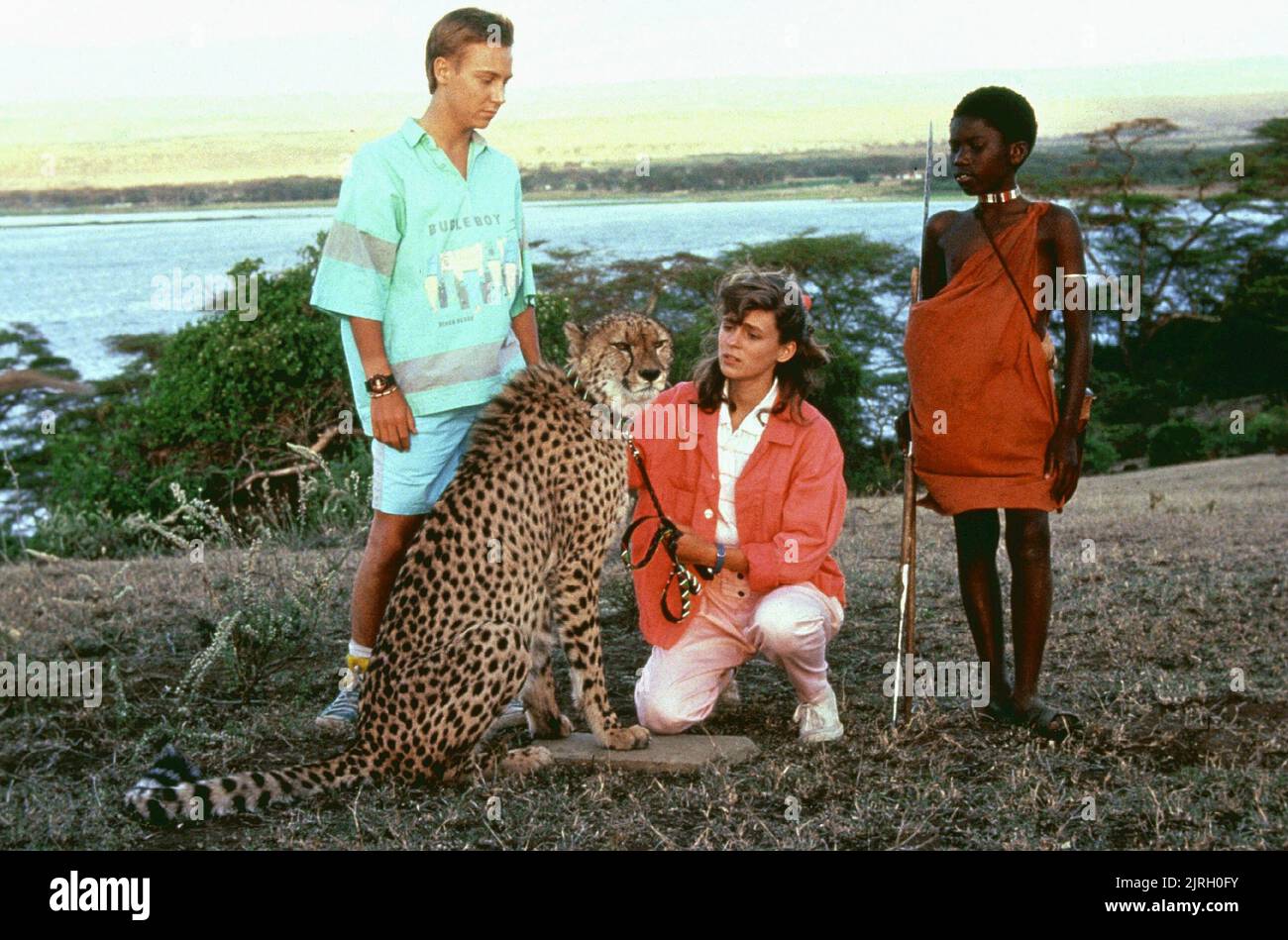 Lucy Deakins Cheetah