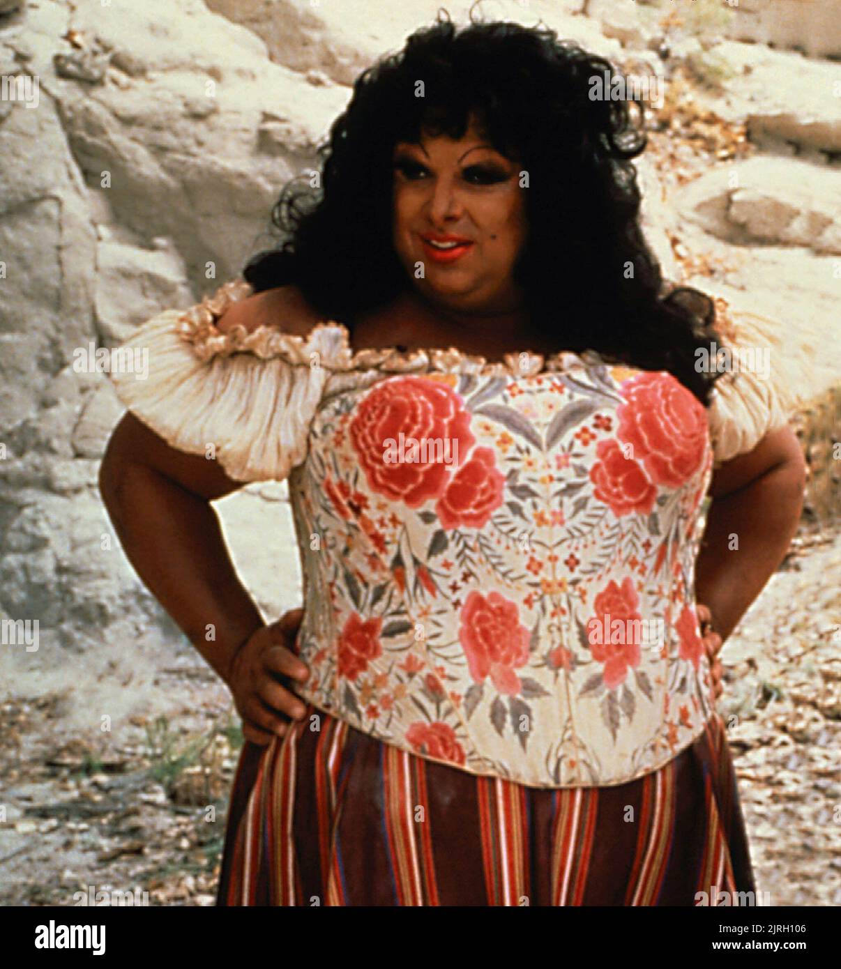 DIVINE (HARRIS GLENN MILSTEAD), LUST IN THE DUST, 1985 Stock Photo - Alamy