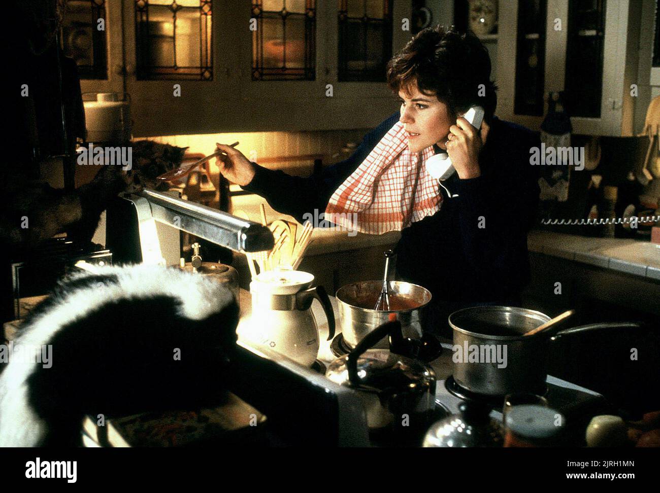 ALLY SHEEDY, SHORT CIRCUIT, 1986 Stock Photo - Alamy