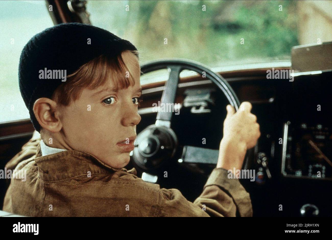 SAMUEL IRONS, DANNY THE CHAMPION OF ' WORLD, 1989 Stock Photo - Alamy