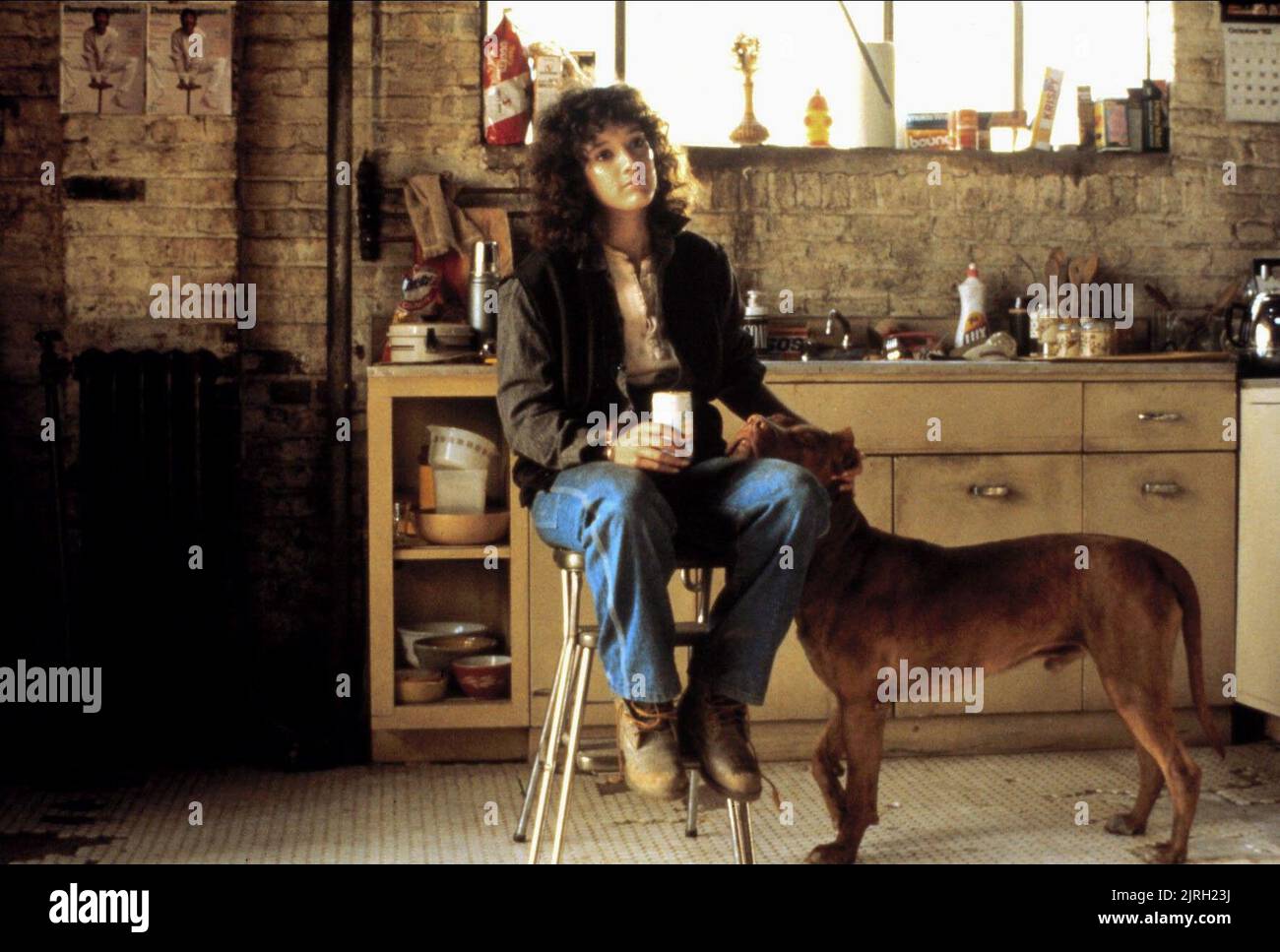 JENNIFER BEALS, FLASHDANCE, 1983 Stock Photo - Alamy