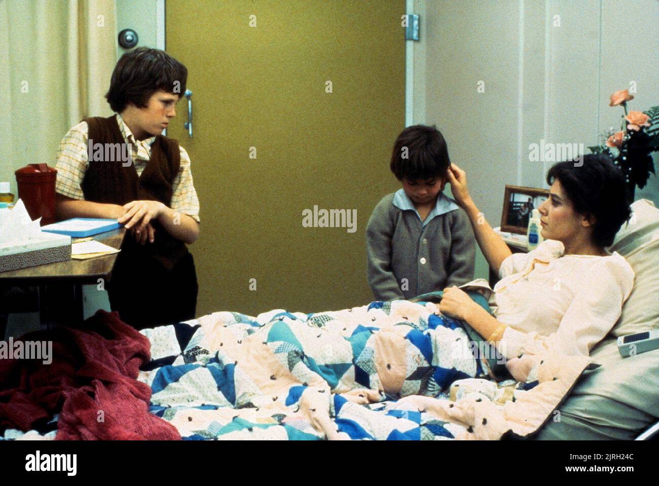 Huckleberry fox hi-res stock photography and images - Alamy