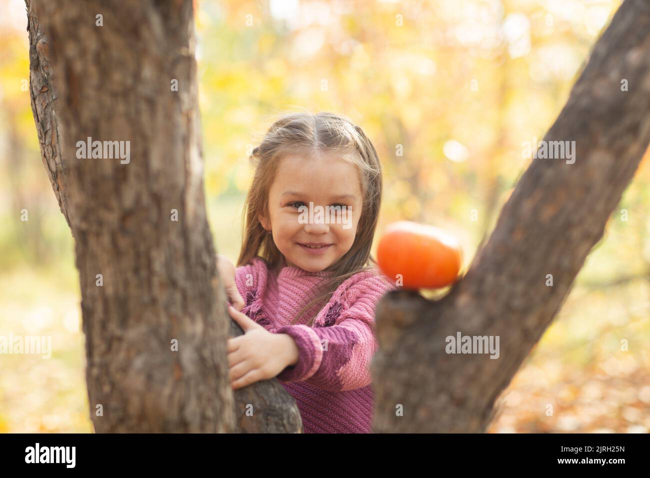 Little baby girl in autumn park walking Stock Photo - Alamy
