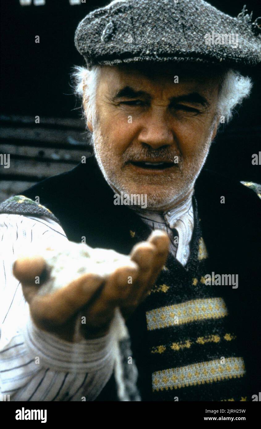 FULTON MACKAY, LOCAL HERO, 1983 Stock Photo - Alamy