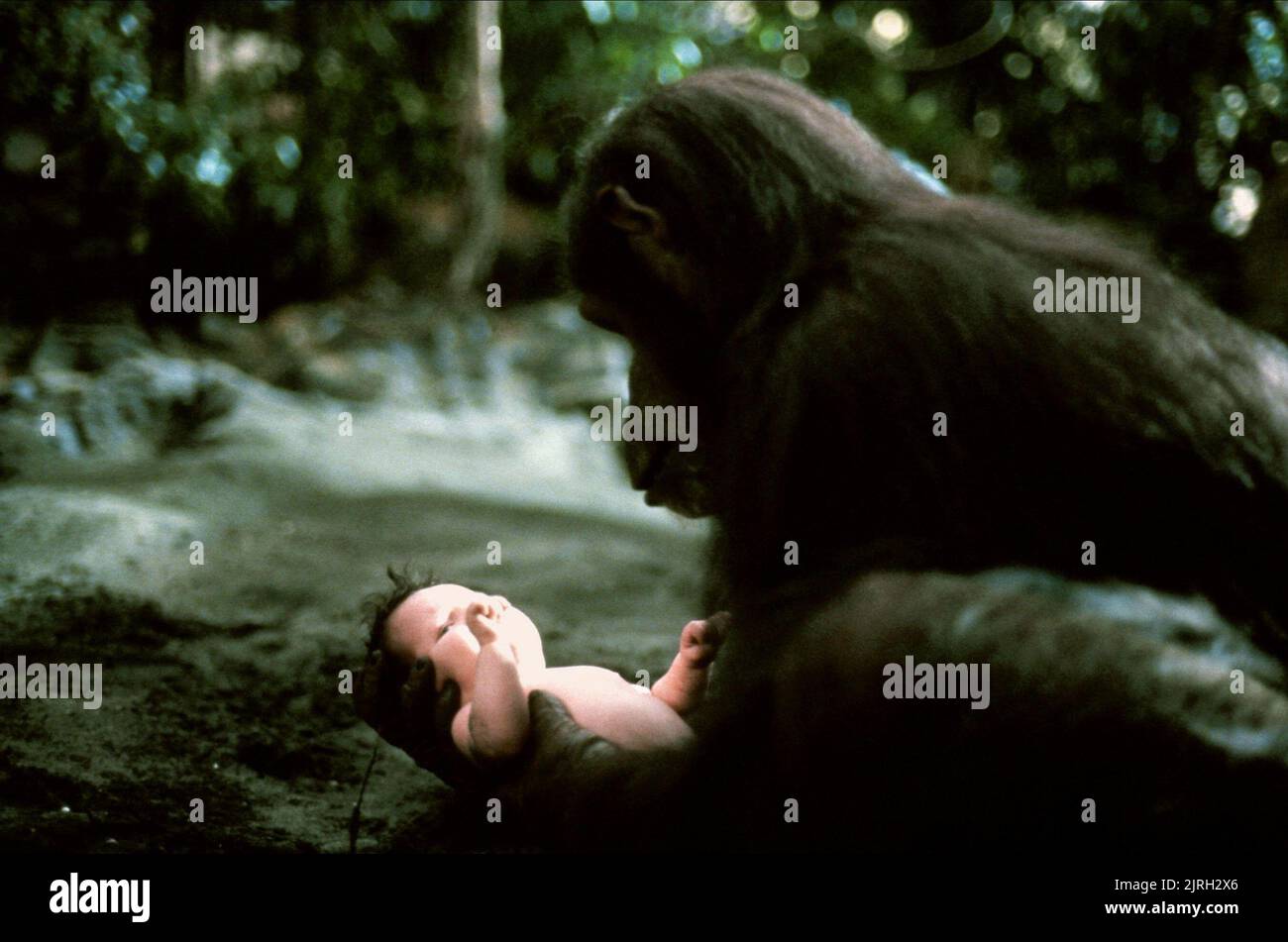 MONKEY WITH HUMAN BABY, GREYSTOKE: THE LEGEND OF TARZAN LORD OF THE ...