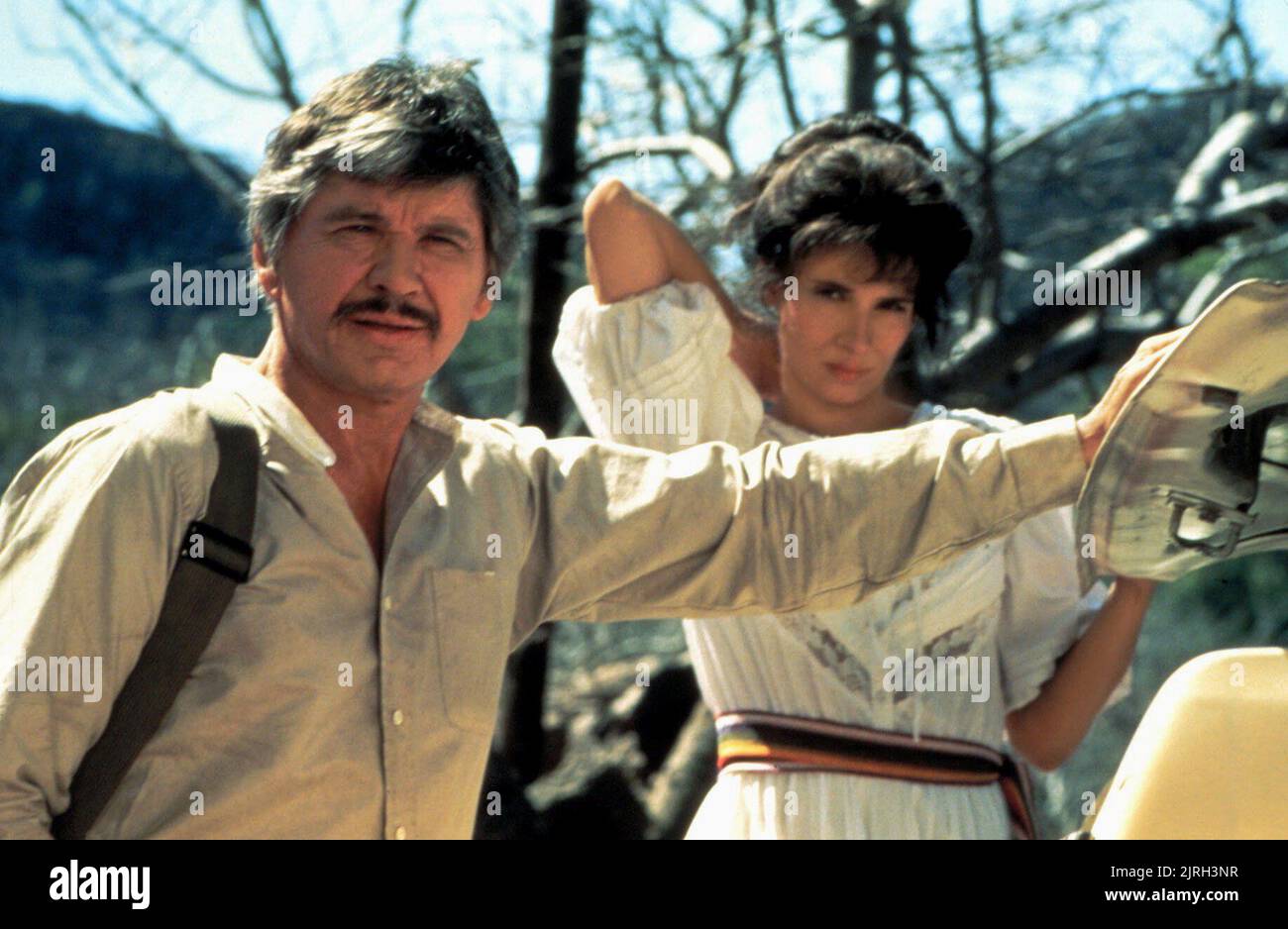 CHARLES BRONSON, THERESA SALDANA, THE EVIL THAT MEN DO, 1984 Stock ...
