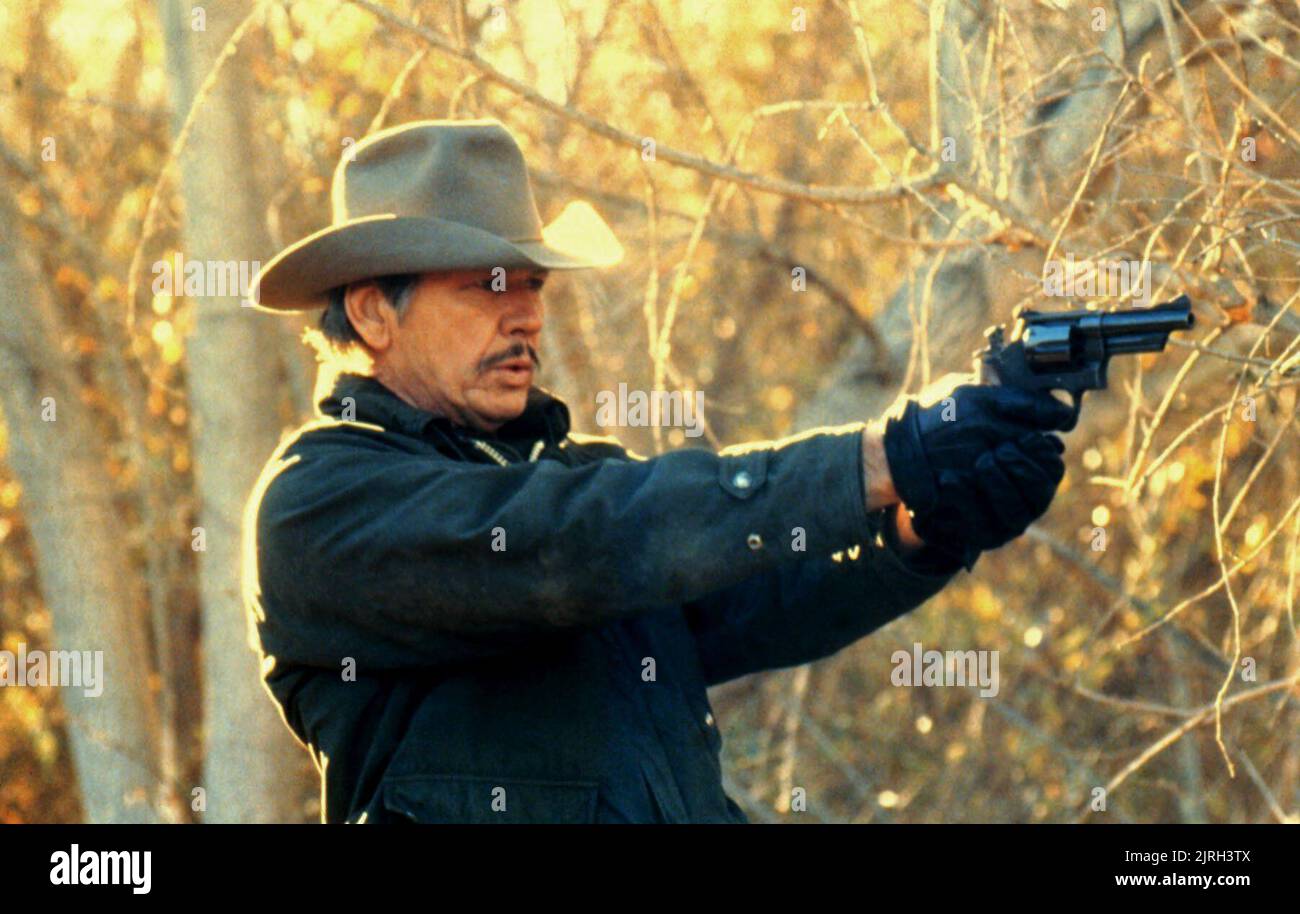 CHARLES BRONSON, BORDERLINE, 1980 Stock Photo - Alamy