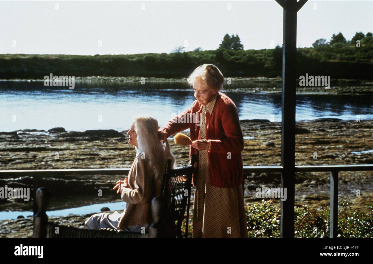 BETTE DAVIS, LILLIAN GISH, THE WHALES OF AUGUST, 1987 Stock Photo - Alamy
