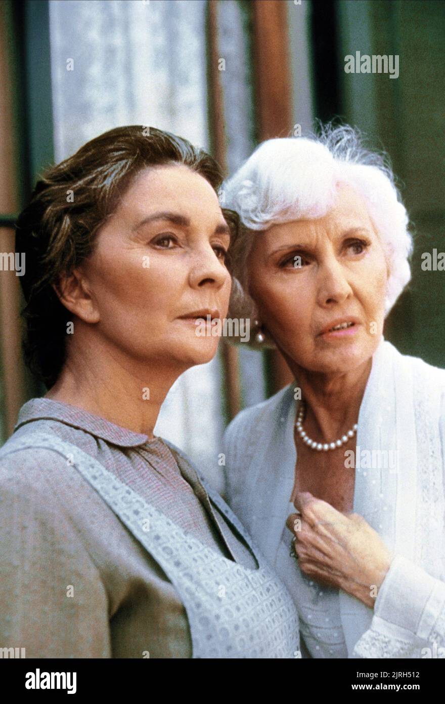 JEAN SIMMONS, BARBARA STANWYCK, THE THORN BIRDS, 1983 Stock Photo - Alamy