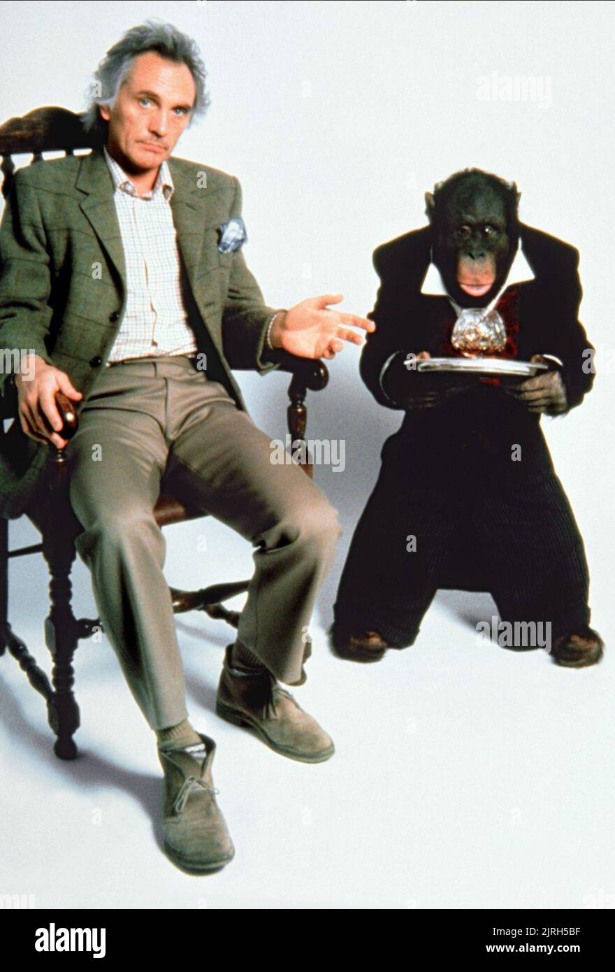 TERENCE STAMP, ORANGUTAN, LINK, 1986 Stock Photo - Alamy