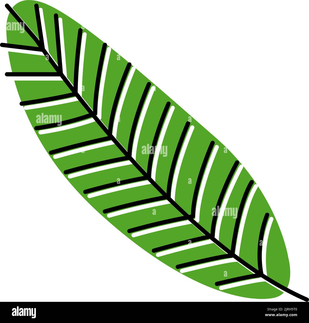 leaf coconut coco color icon vector illustration Stock Vector Image ...