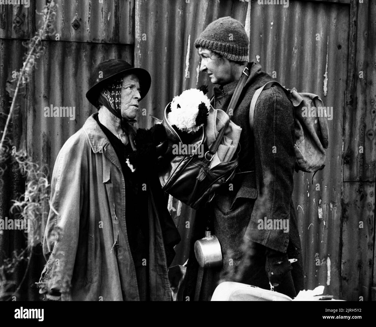 Lady and the tramp hi-res stock photography and images - Alamy