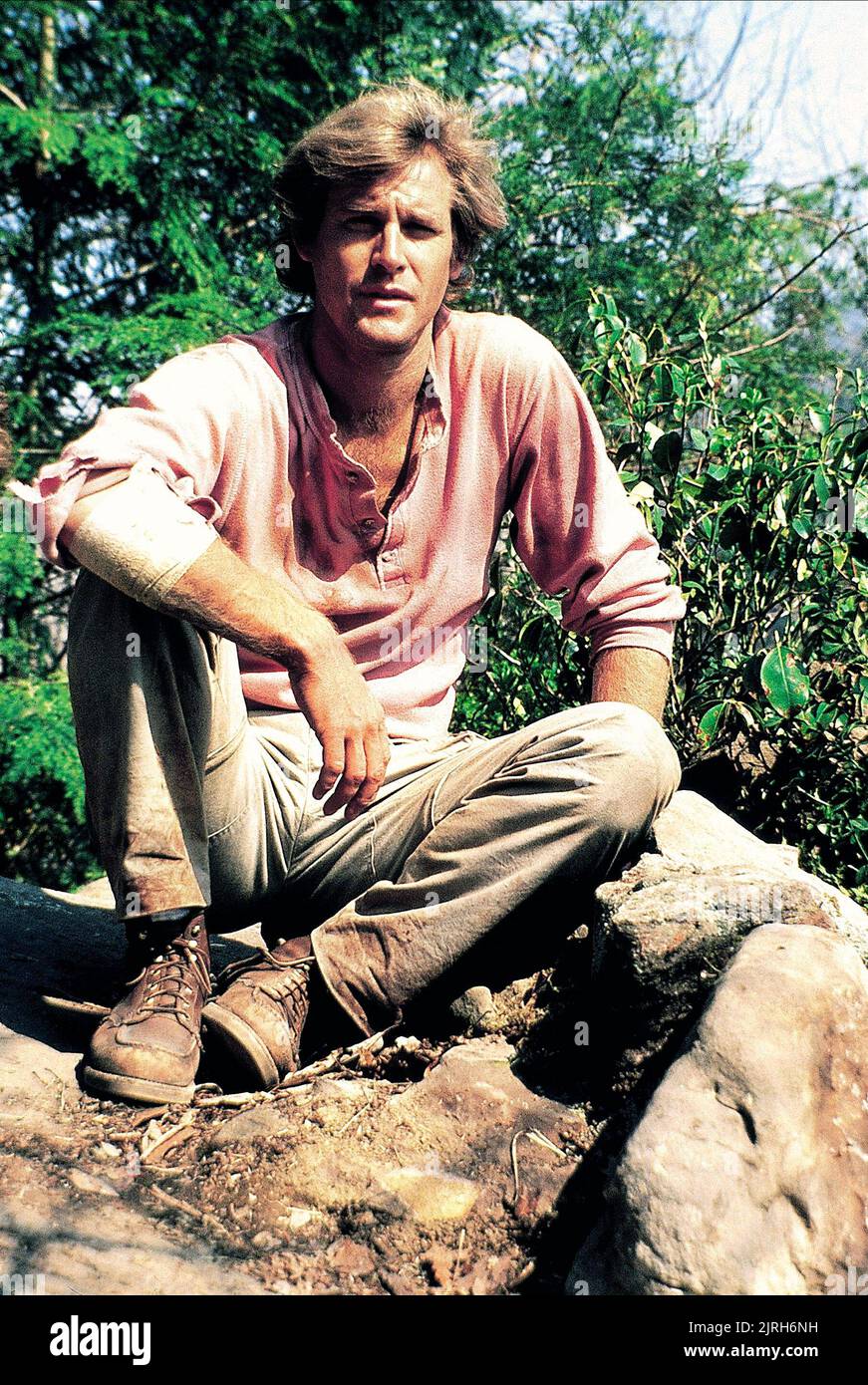 BRIAN KERWIN, KING KONG LIVES, 1986 Stock Photo - Alamy BRIAN KERWIN, KING KONG LIVES, 1986 Stock Photo - Alamy