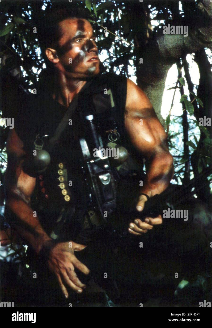 ARNOLD SCHWARZENEGGER, COMMANDO, 1985 Stock Photo - Alamy