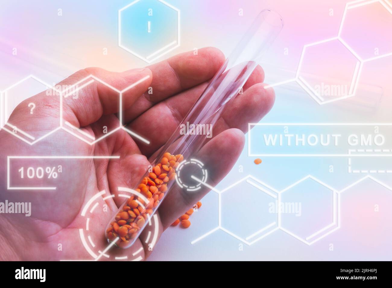 Research and development of new varieties of seeds. Selection and ...