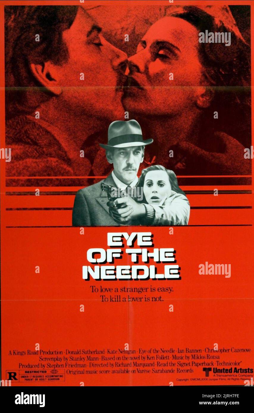 Eye Of The Needle Book