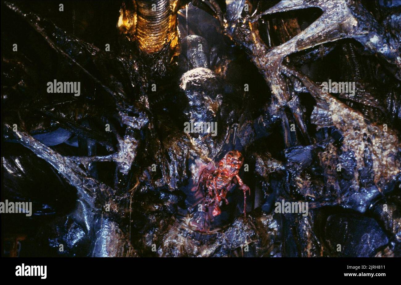 Alien Movie Stomach Scene