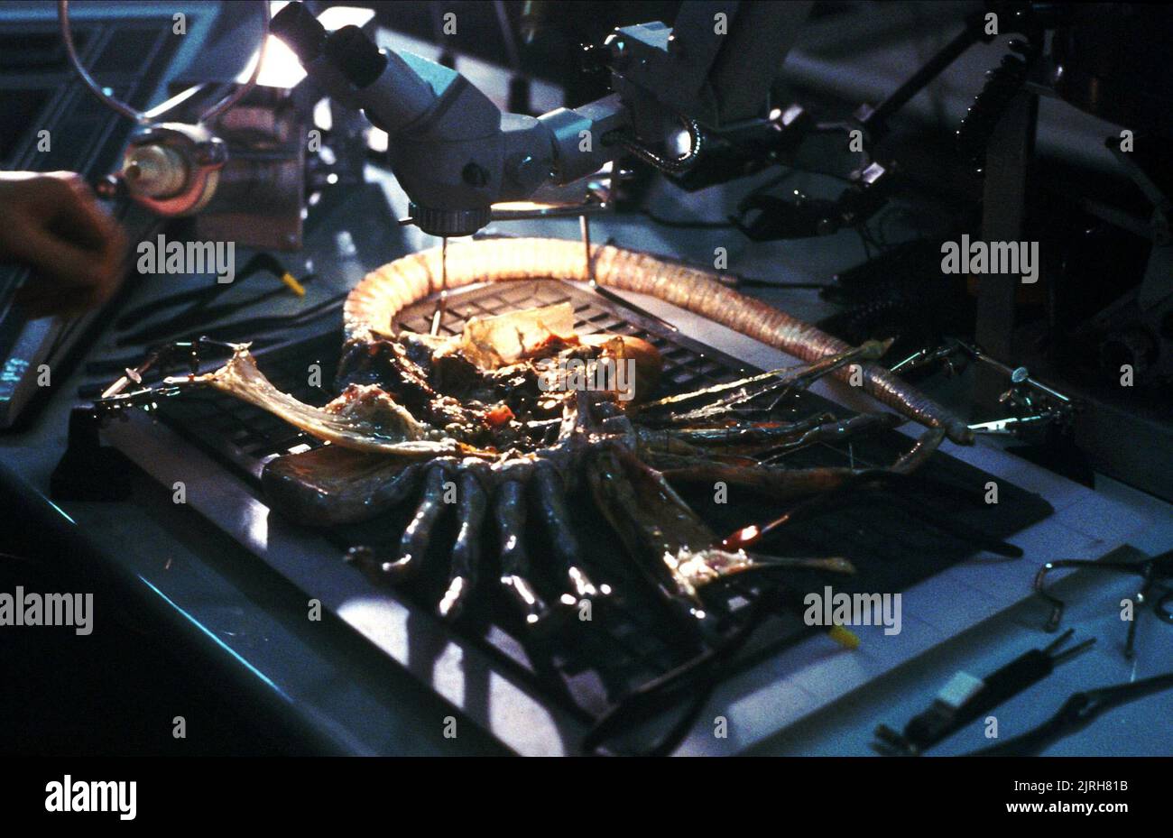 FACEHUGGER, ALIENS, 1986 Stock Photo - Alamy