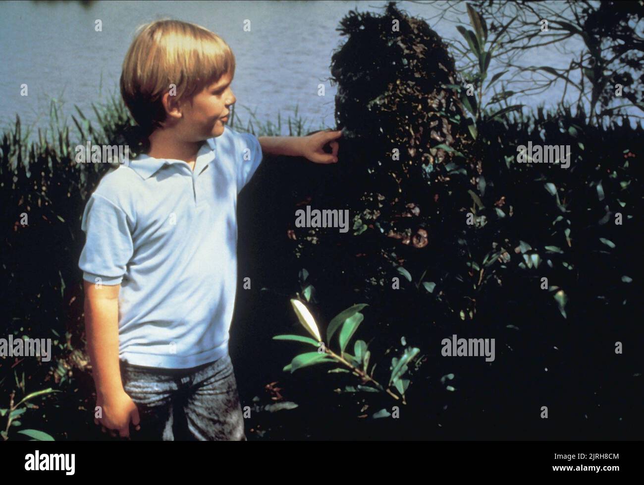 JESSE ZEIGLER, DICK DUROCK, SWAMP THING, 1982 Stock Photo - Alamy
