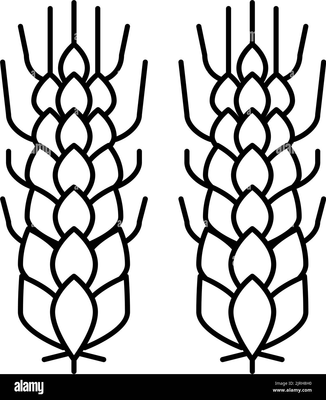 Wheat Beer Drink Line Icon Vector Illustration Stock Vector Image And Art Alamy