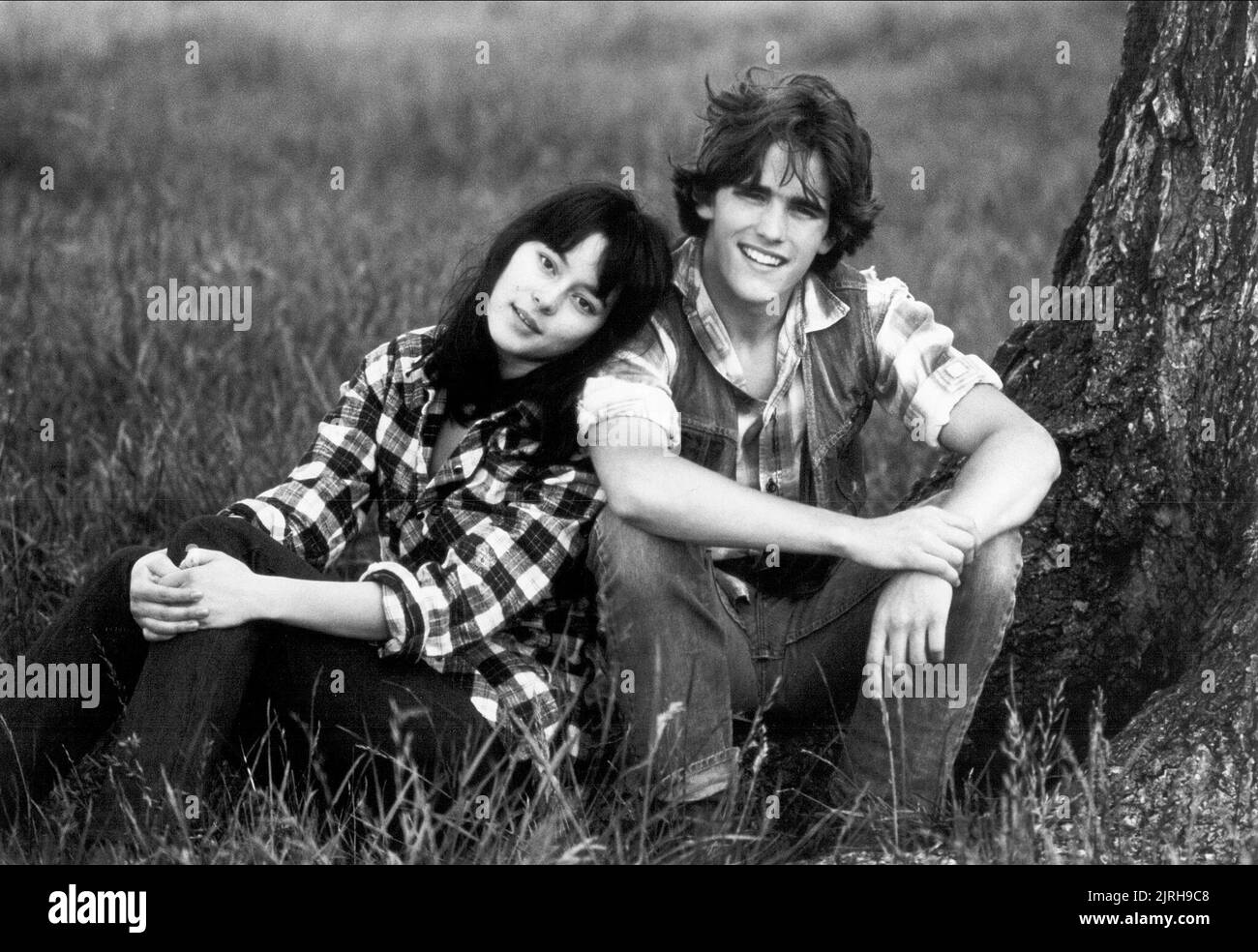 Tex 1982 matt dillon tim hi-res stock photography and images - Alamy