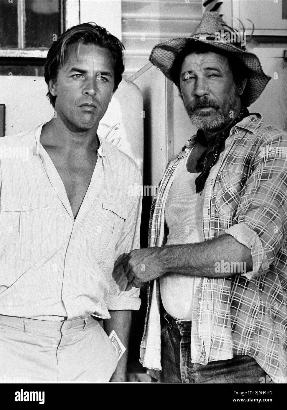 DON JOHNSON, JAMES GAMMON, THE LONG HOT SUMMER, 1985 Stock Photo - Alamy